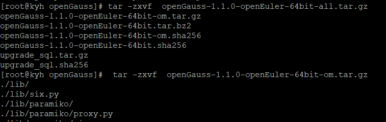 OpenGauss在OpenEuler系统上安装（含图形界面及OpenSSL安装过程）-CSDN社区