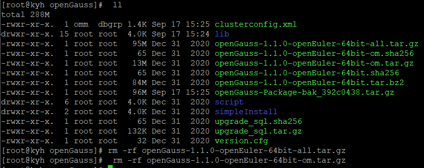 OpenGauss在OpenEuler系统上安装（含图形界面及OpenSSL安装过程）-CSDN社区