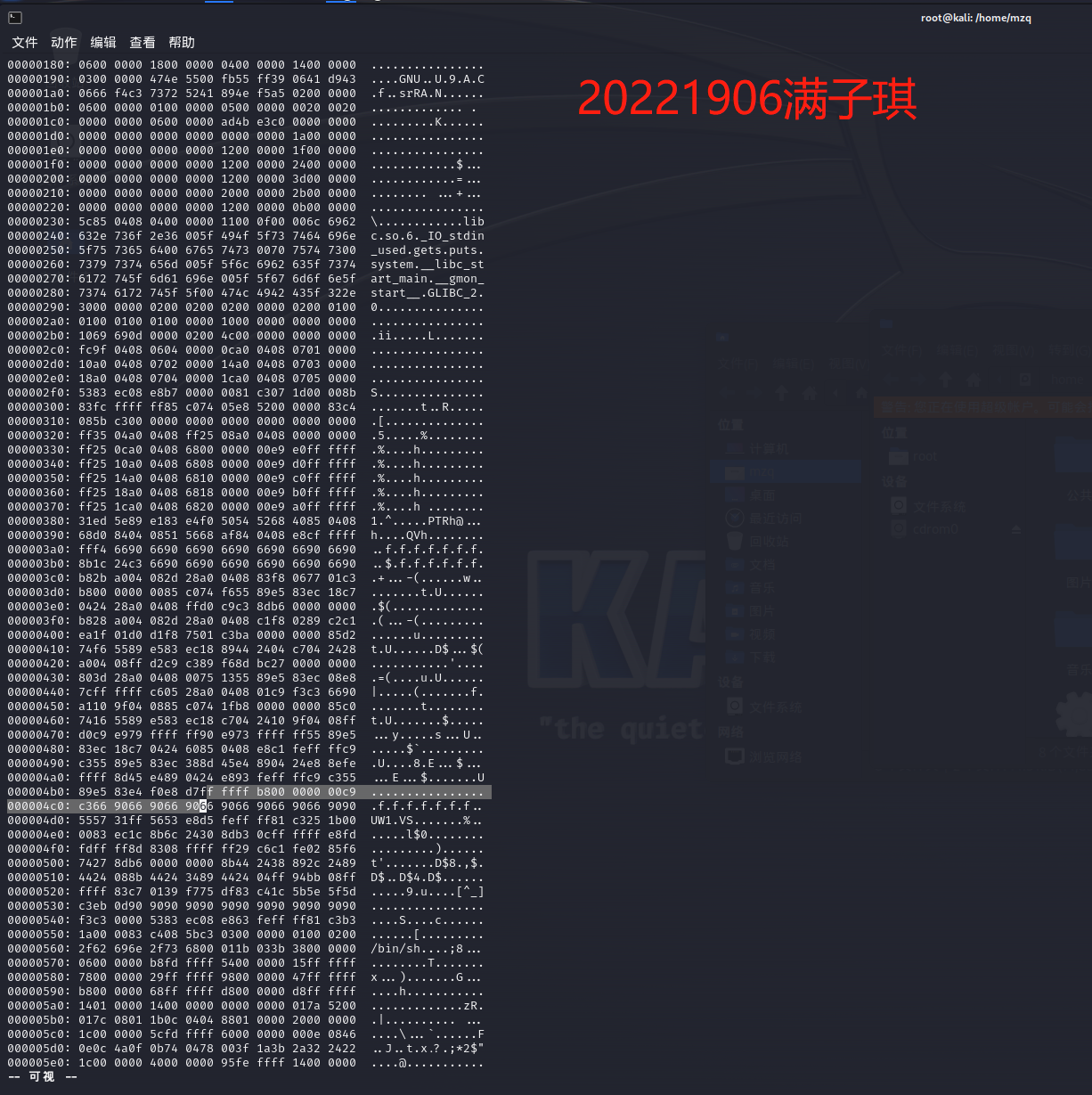 20221906 2022-2023-2 《网络攻防实践》实践9报告-CSDN社区
