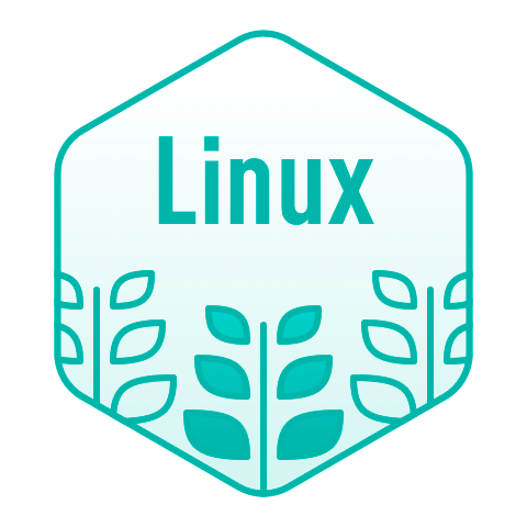 CSDN Linux 勋章-CSDN社区