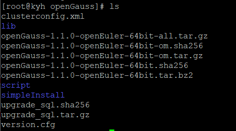 OpenGauss在OpenEuler系统上安装（含图形界面及OpenSSL安装过程）-CSDN社区