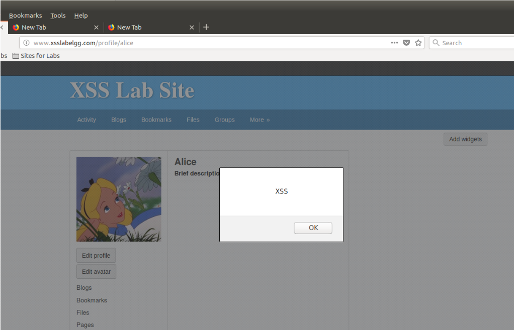 20222930 2021-2022-2 《网络攻防实践》实践十报告-CSDN社区