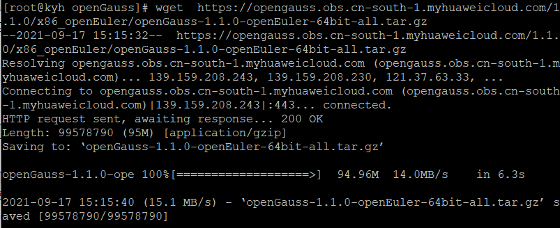 OpenGauss在OpenEuler系统上安装（含图形界面及OpenSSL安装过程）-CSDN社区