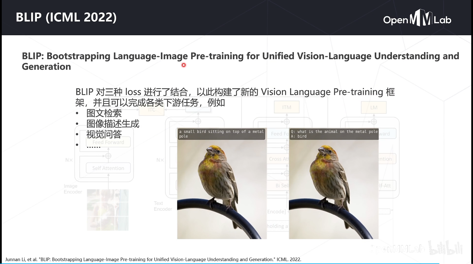 【ai实战营第二期】mmpretain Csdn社区 