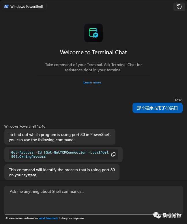 试用 Windows Terminal 中的 Terminal Chat 功能-CSDN社区