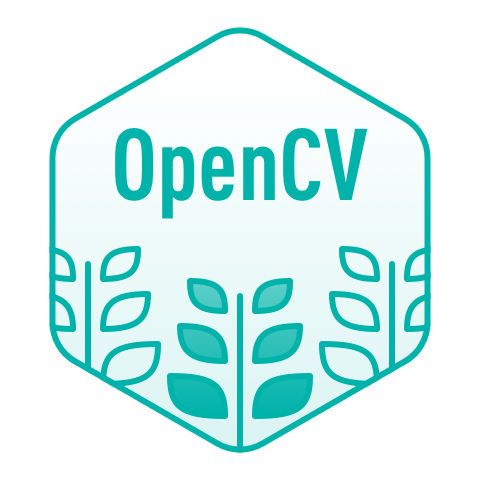 CSDN OpenCV 勋章-CSDN社区