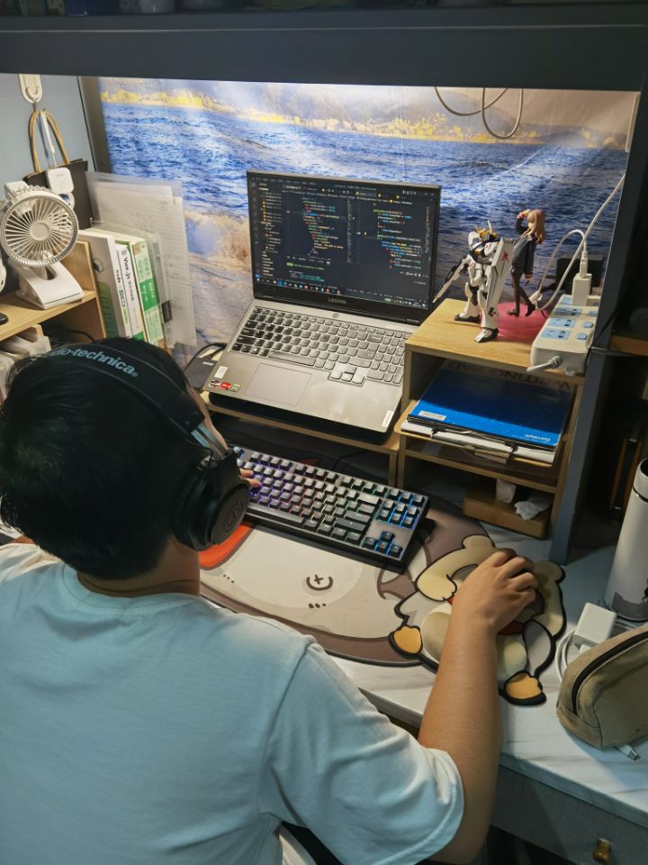 EE308FZ Lab 2-2-CSDN社区