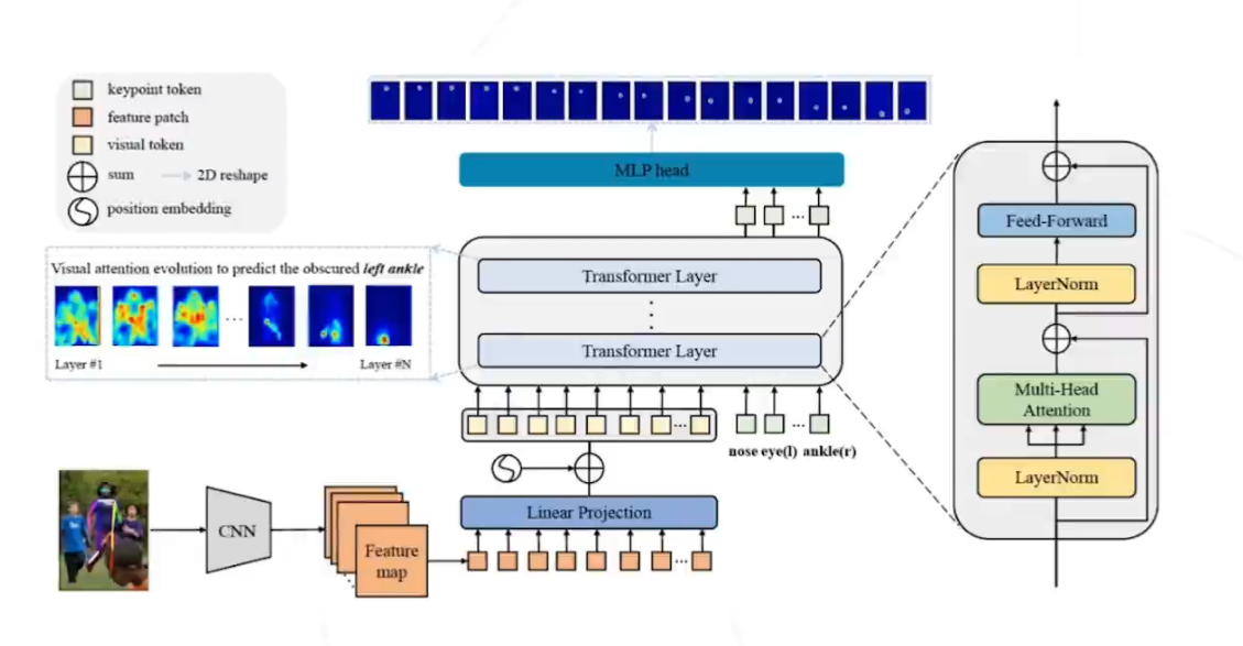 【OpenMMLab-AI实战营】笔记02：人体关键点检测与MMPose-CSDN社区